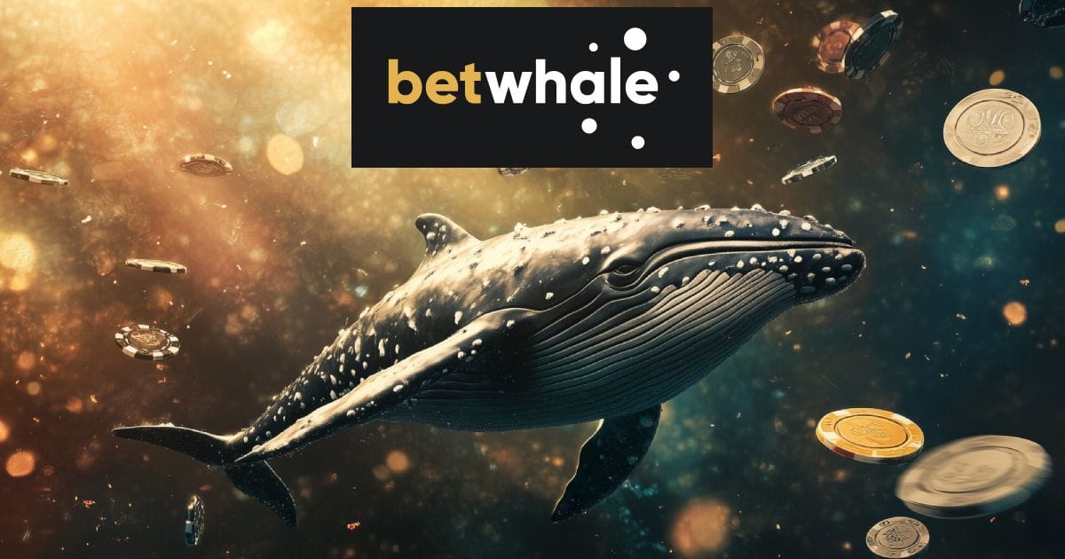BetWhale Casino & Sportsbook Overview | No Deposit Bonus